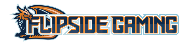 About Us – Flipside Gaming